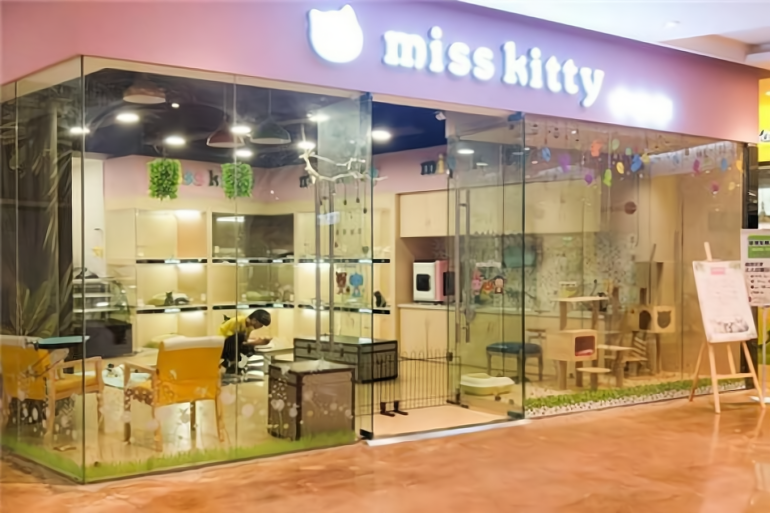 misskitty猫咖加盟_misskitty猫咖怎么加盟_misskitty猫咖加盟费20.2万起
